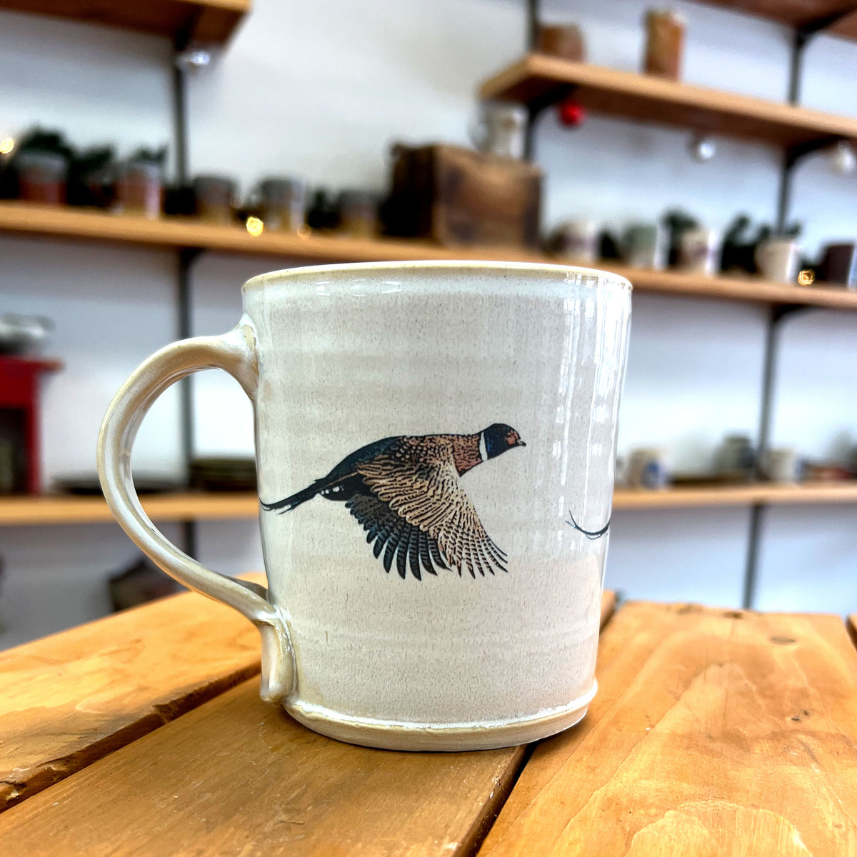 Ring-necked Pheasant – Red Bison Studio
